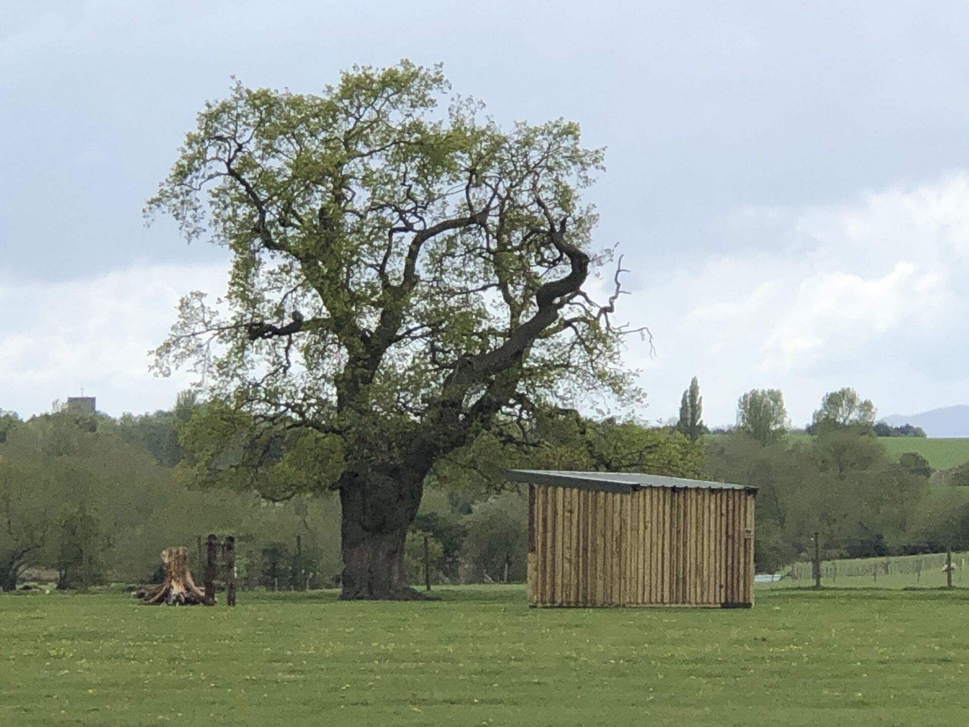 Brine Pit Wildlife Photography - Kingfisher Hide