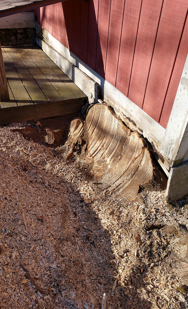 Big Beaver Stump Grinding - Top Rated Stump Grinder & Landscaper ...