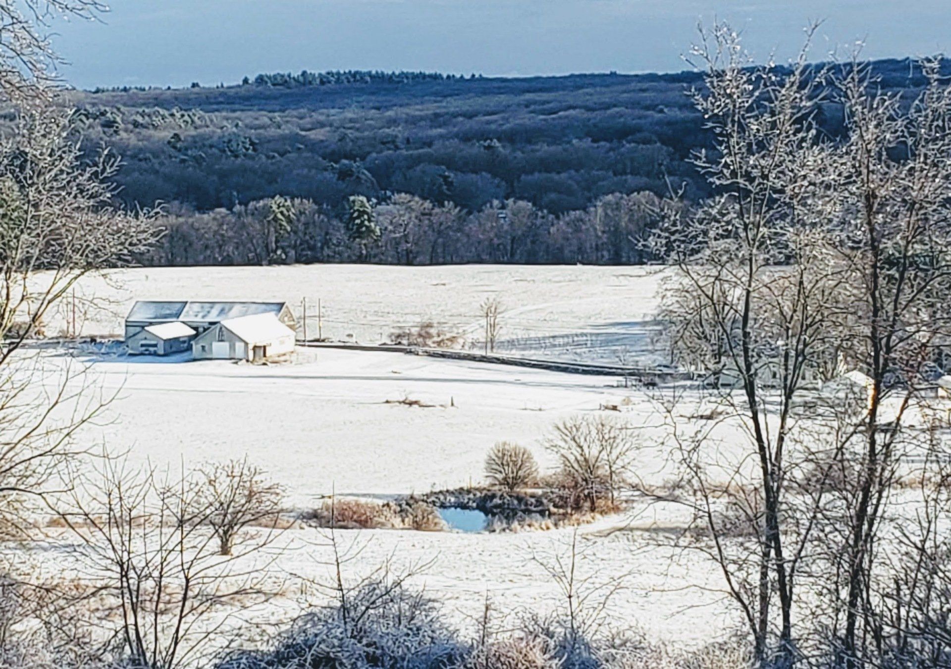 Franklin Farm