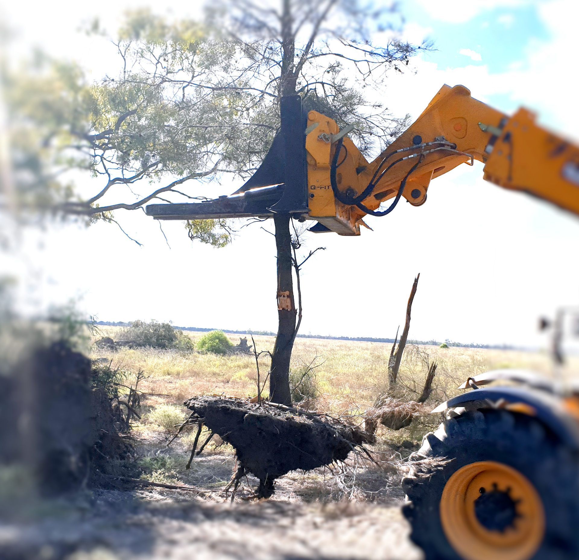 Brush & Tree Puller for Boxthorn and small trees
