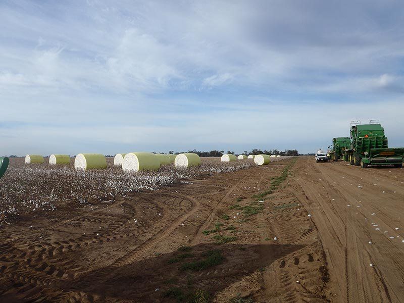 Cotton Bale & Tag Trailer - McCormack Industries