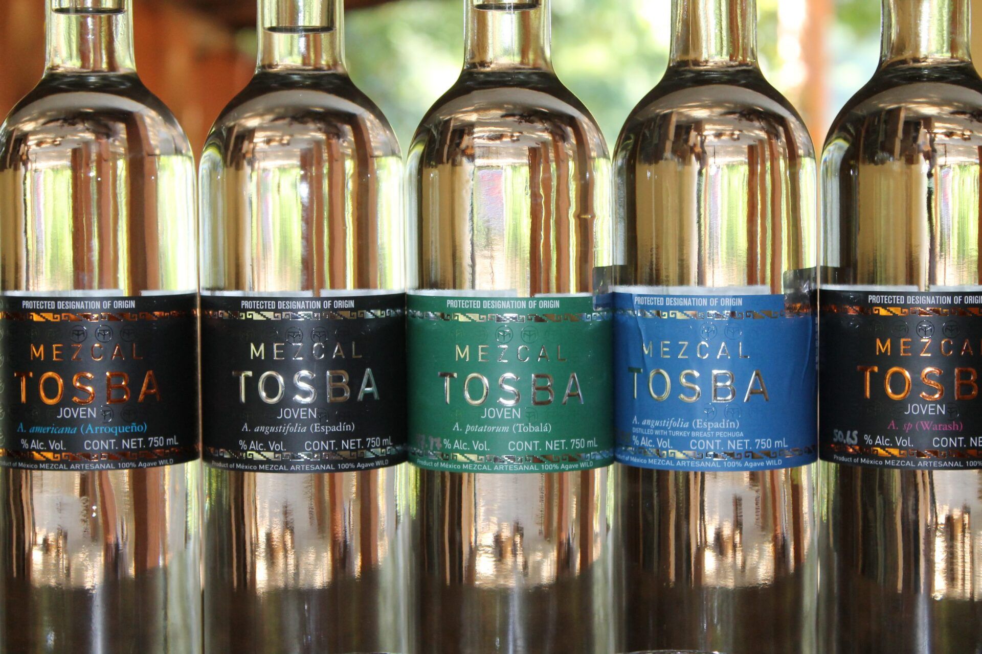 Mezcal Tasting with Tosba