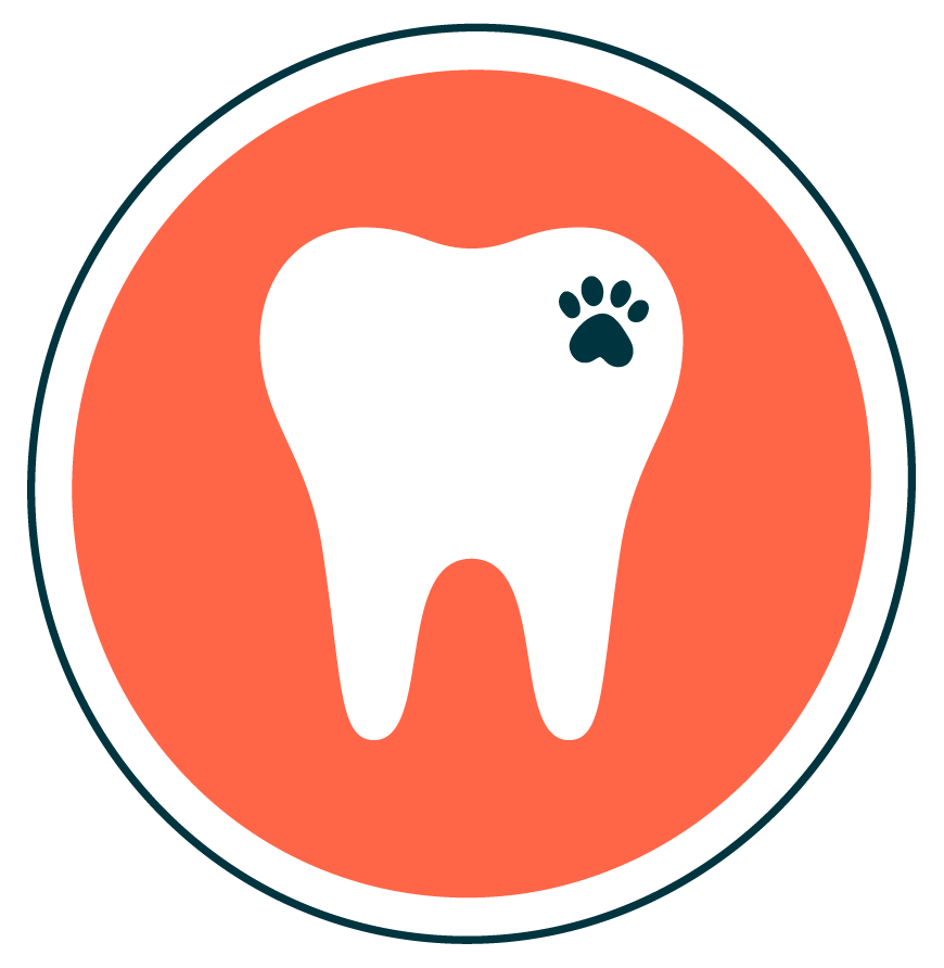 Pet Dental Care Resources | Mississauga, CA
