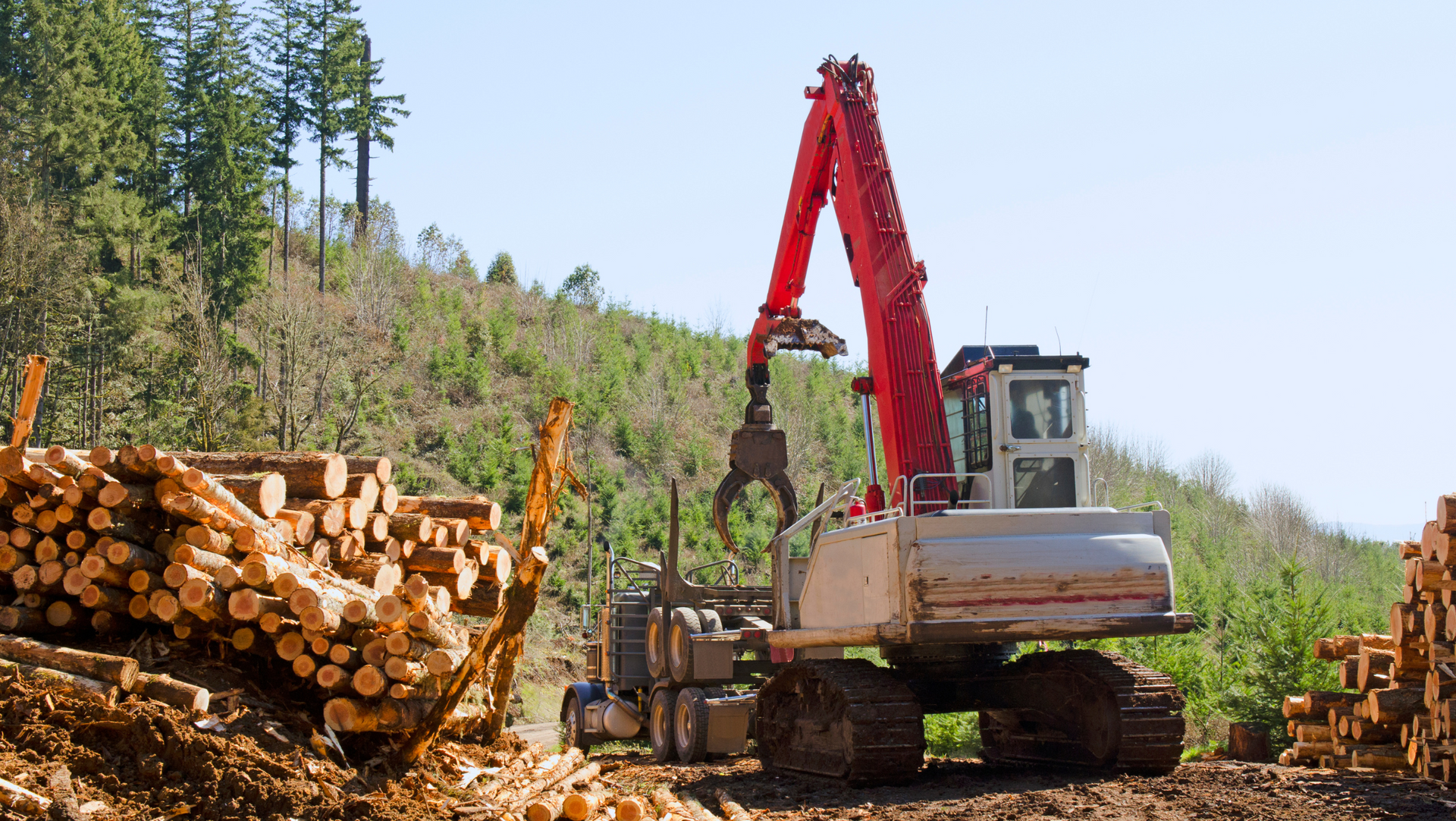 Friction Materials for Forestry & Logging | Champion