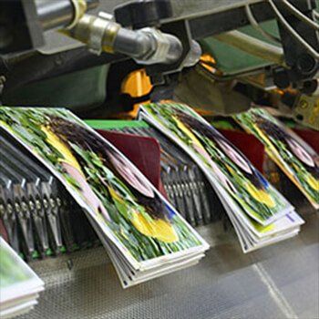 Vedda Printing+ | High Quality Commercial Printing