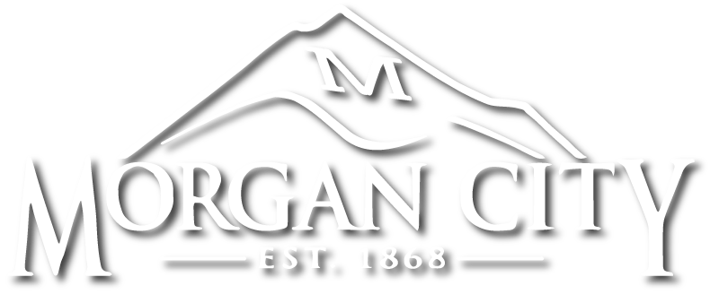 Morgan Chamber or Commerce