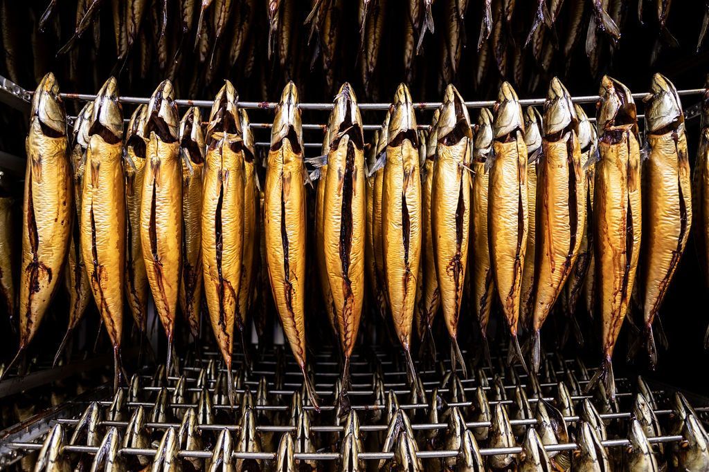 Vis van de maand oktober Koelewijn's Haringinleggerij is makreel