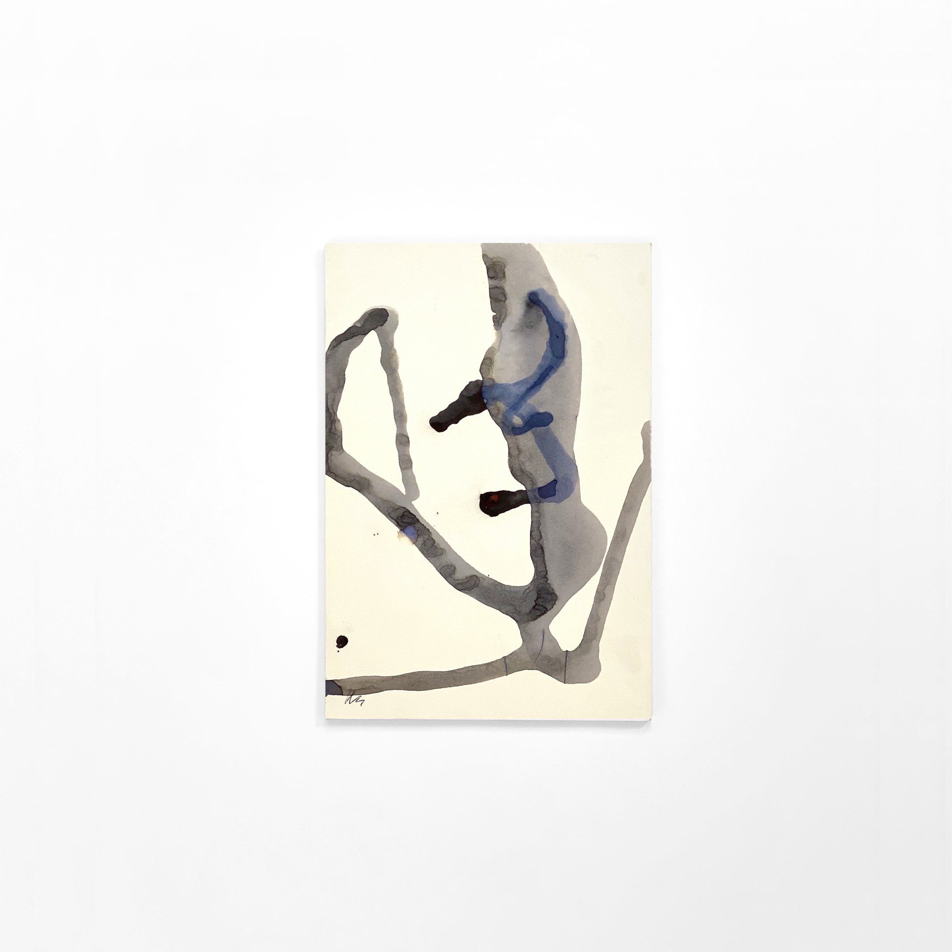 Carlo Brunelli | HomePage