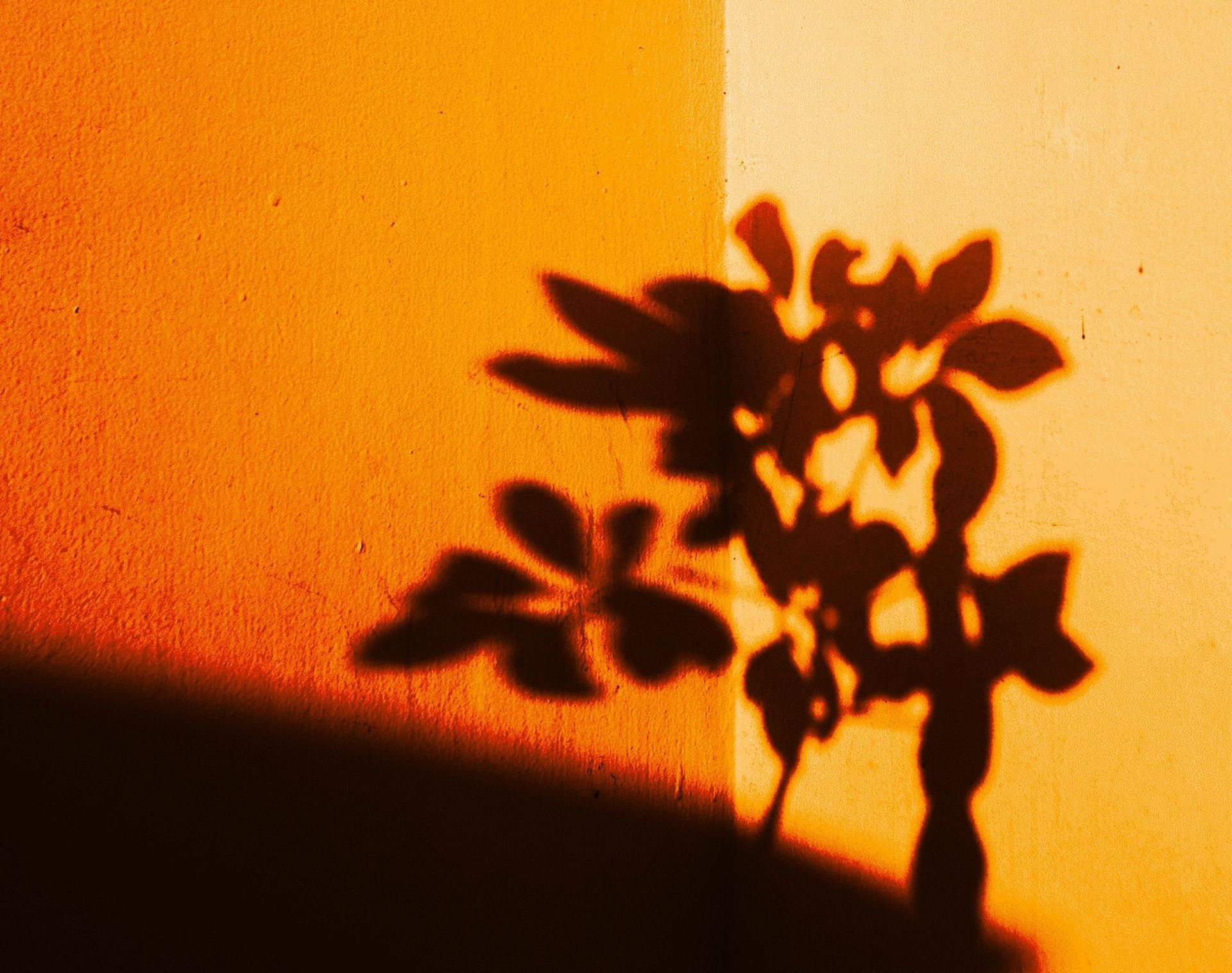 Billy Denk Creates New Ambient Single In Fairness To You 