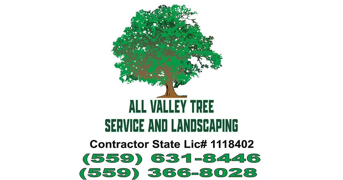 Certified Arborist | Tulare, CA | All Valley Tree Service