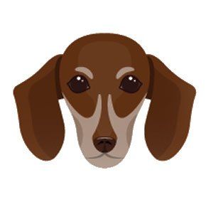 Town & Country Animal Hospital - Vet - Frontenac KS