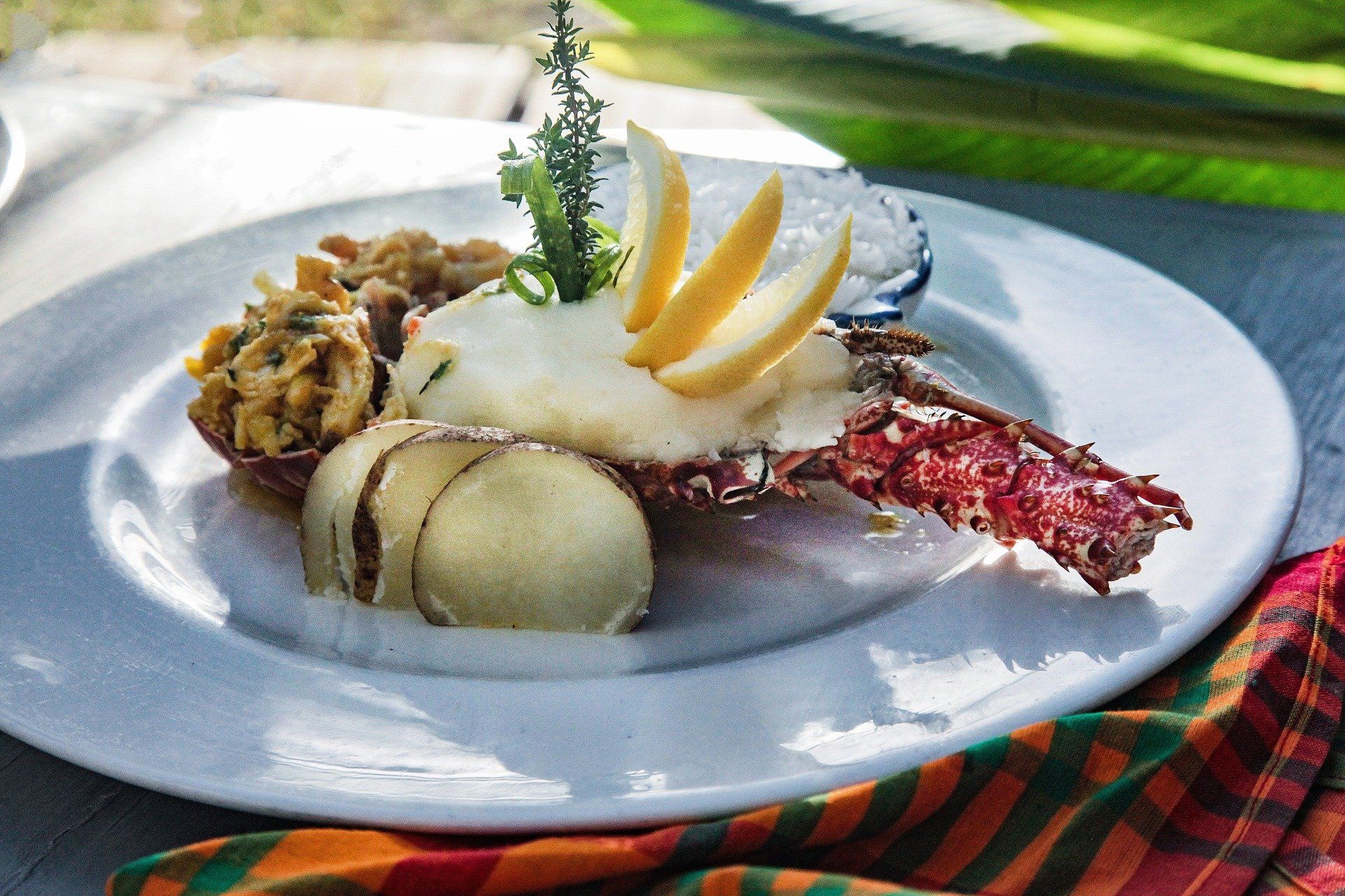 Dining | Conch Beach Cabins