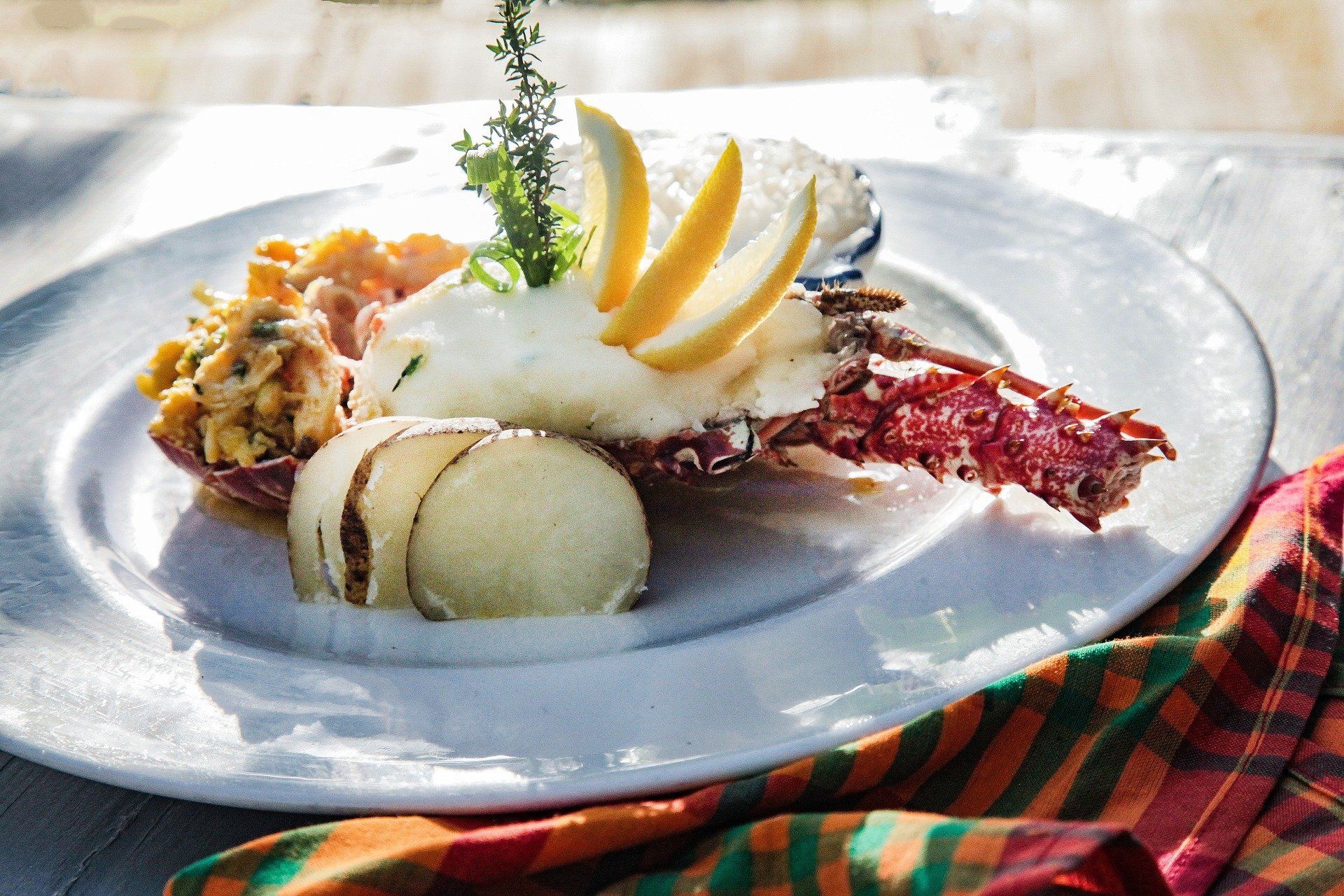 Dining | Conch Beach Cabins