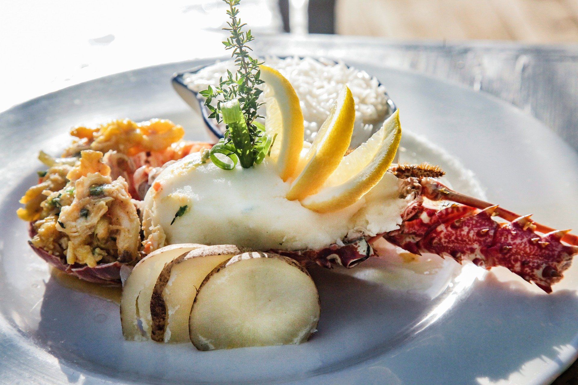 Dining | Conch Beach Cabins