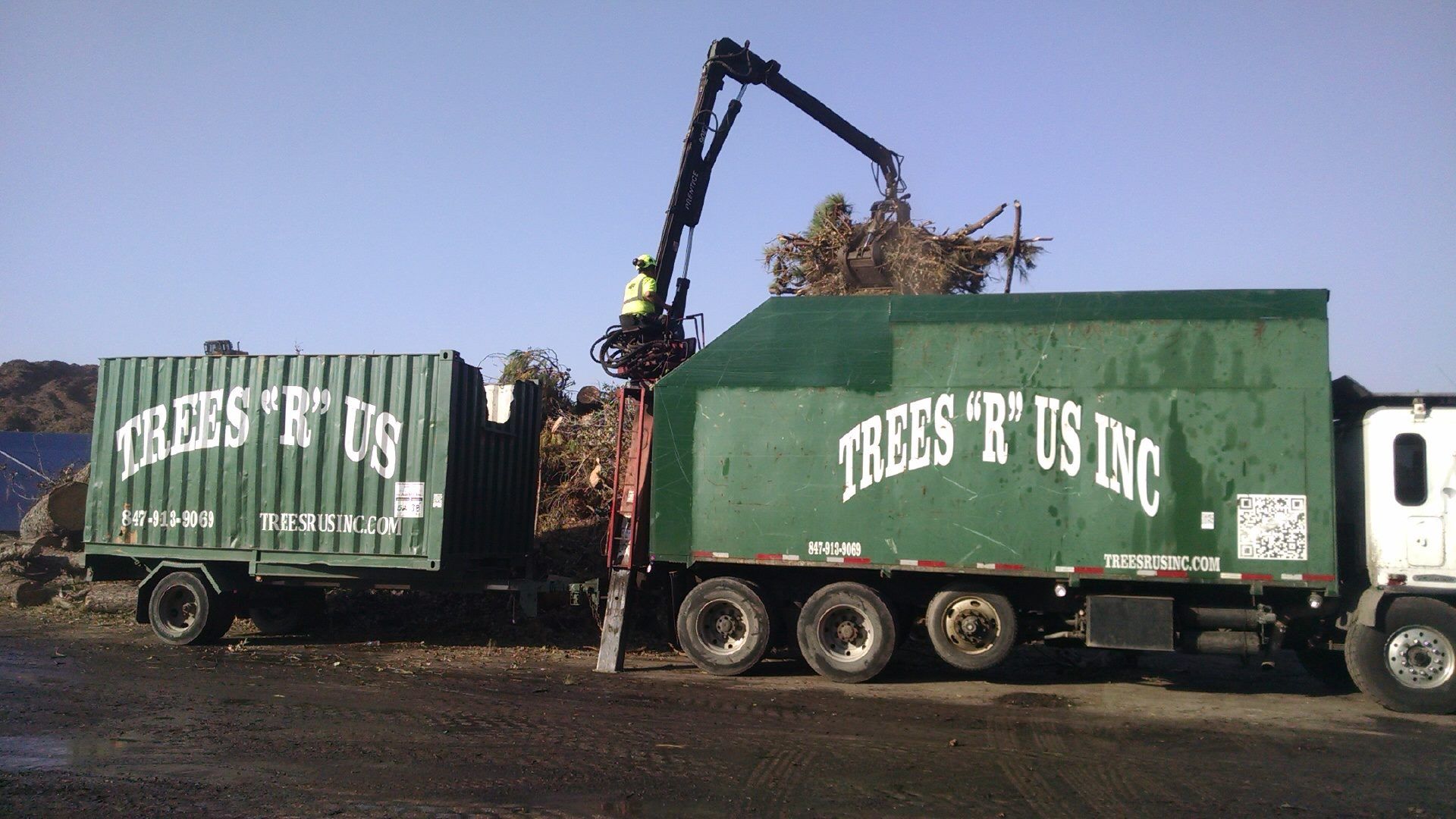 About Trees R Us | Trusted Tree Experts in IL & WI