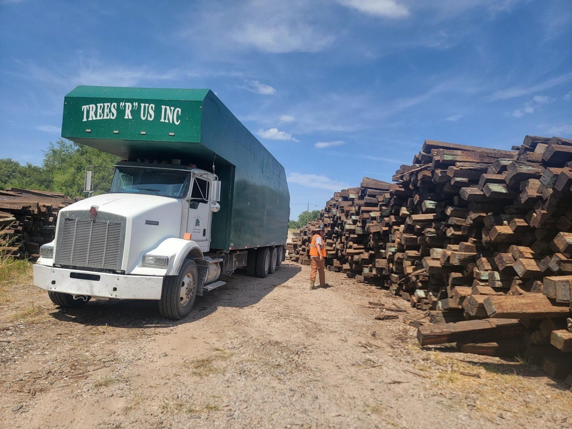 Professional Tree Care Services | Residential & Commercial | Trees R Us