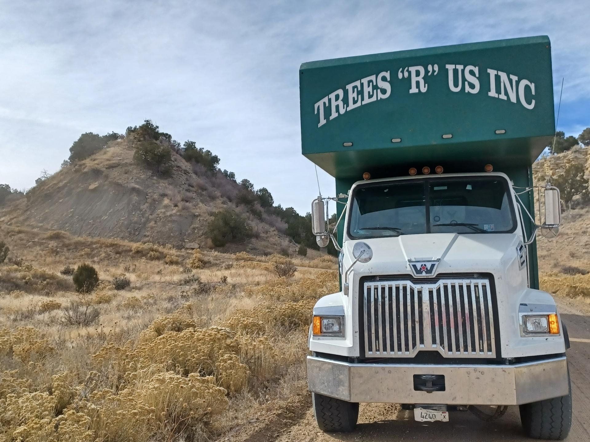 Trees R Us in the News | Media Features & Highlights