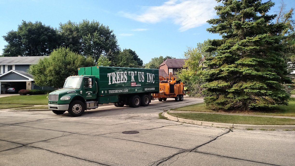 Residential Tree Services | Trees R Us