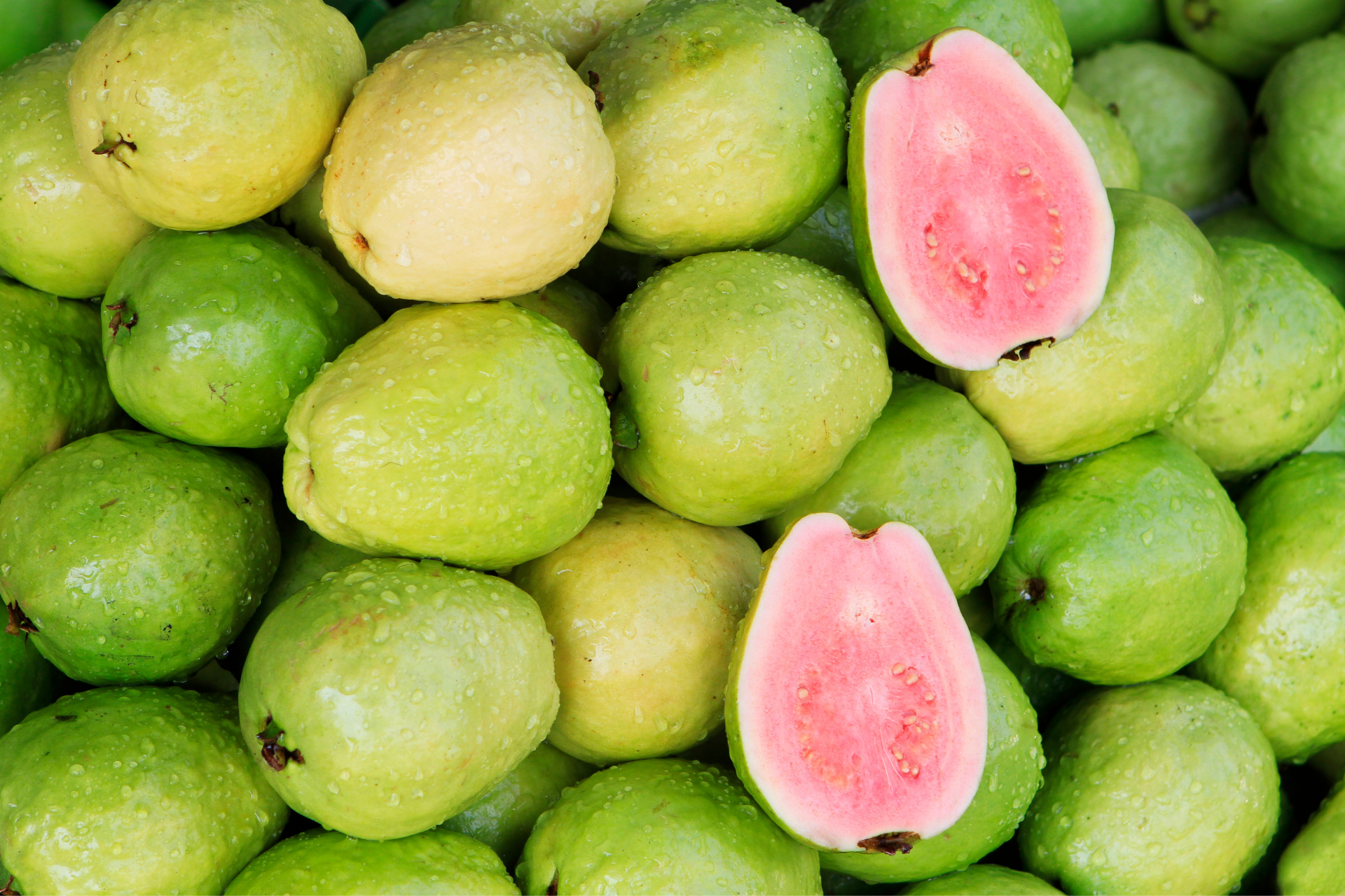 Guava