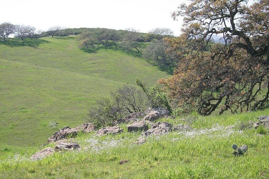 Santa Rosa Plateau Ecological Reserve