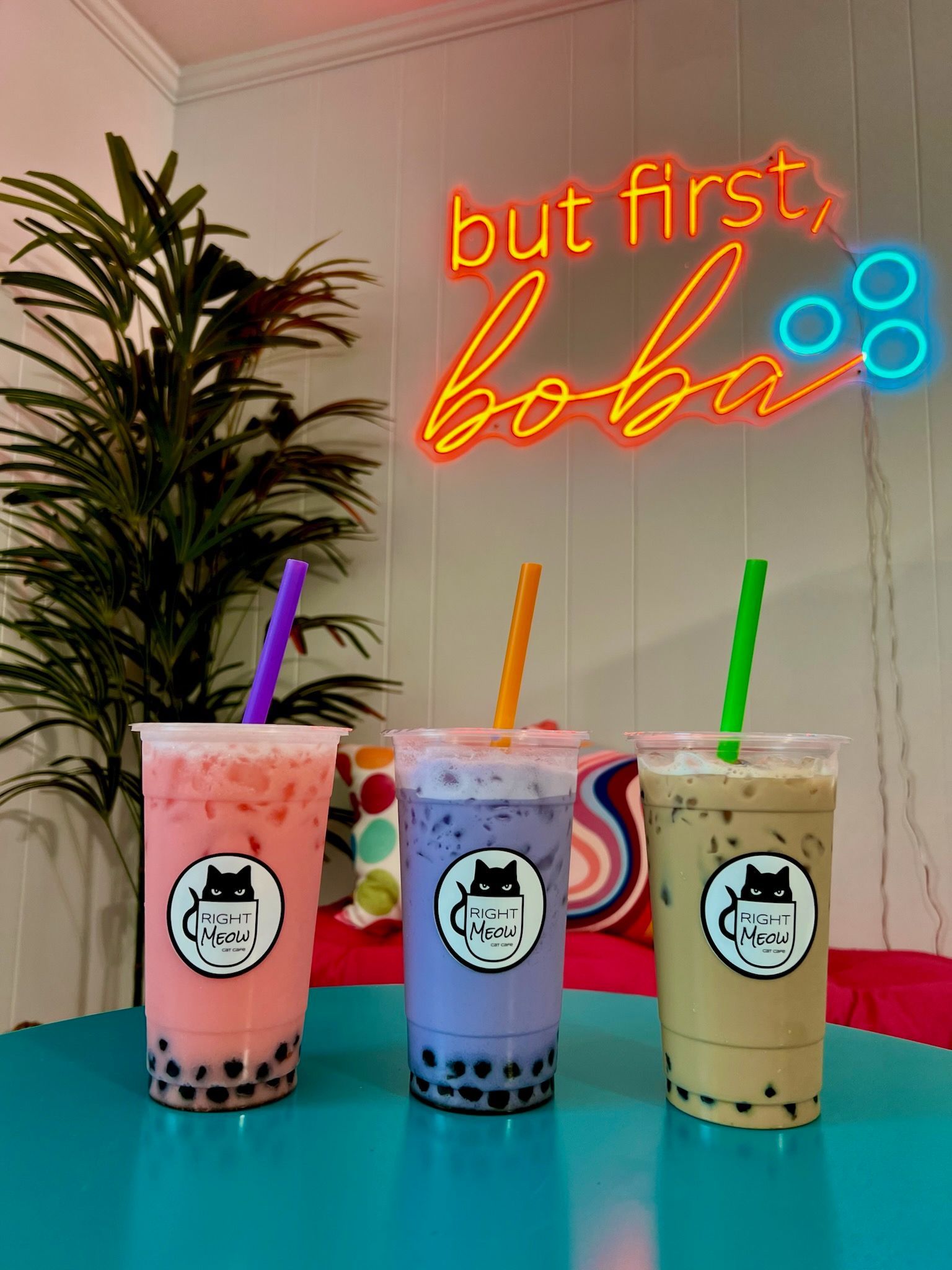 Right Meow - Cat Cafe