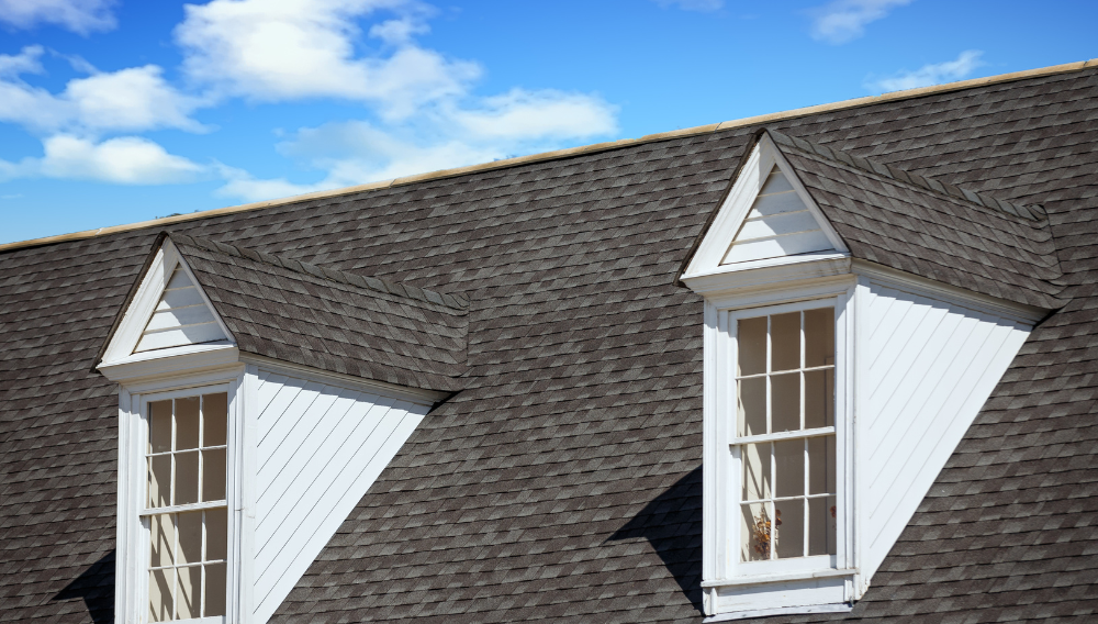 Everything You Should Know About Shingle Roofs in Florida