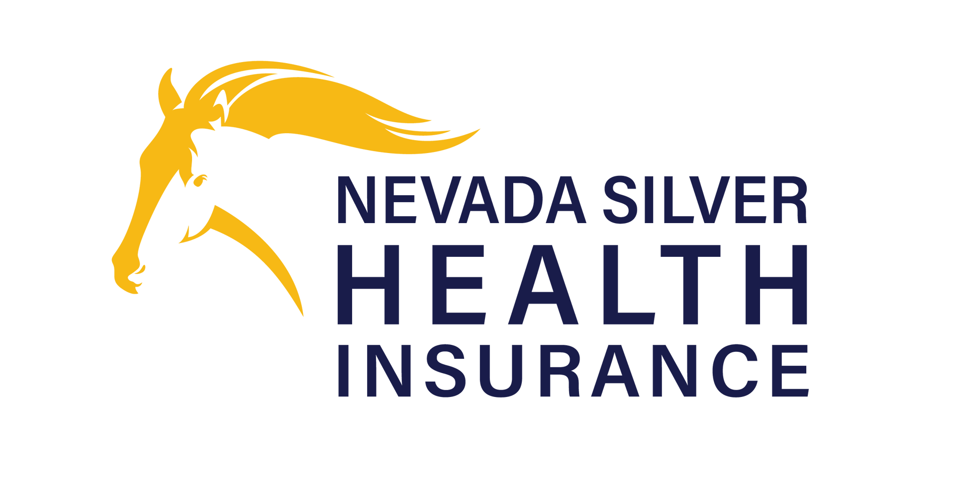 Nevada Silver Life & Health Agency