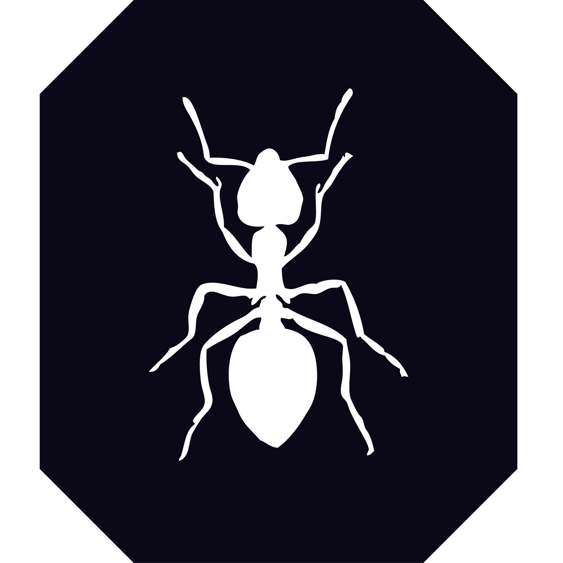 Pest control service | Langley, BC | Armoured Pest Control