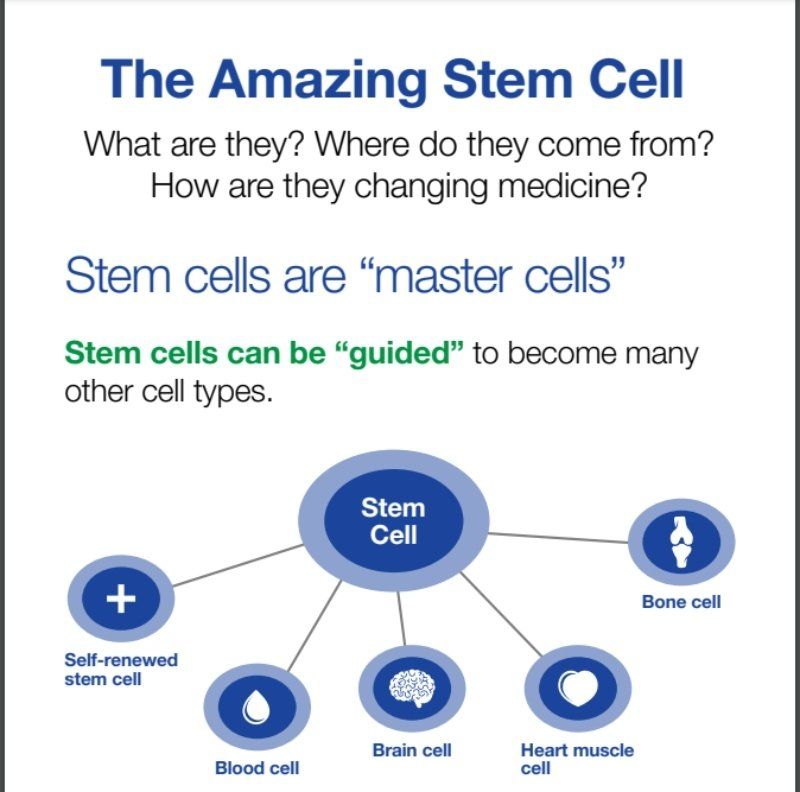 Stem Cell Therapy | Frankfort, IL | Chicago Stem Cell Therapy