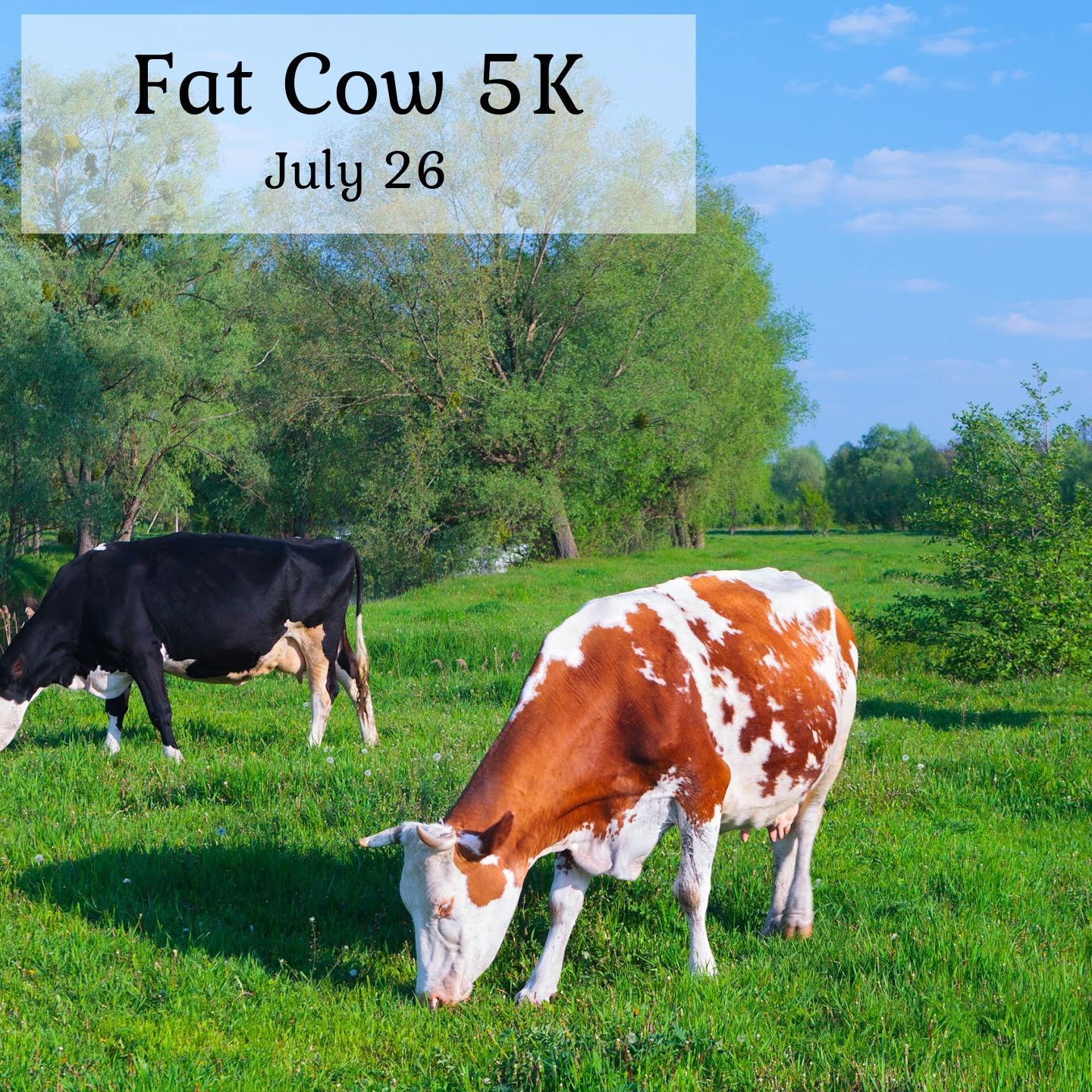 Home | St Joseph Center of Arkansas | North Little Rock AR