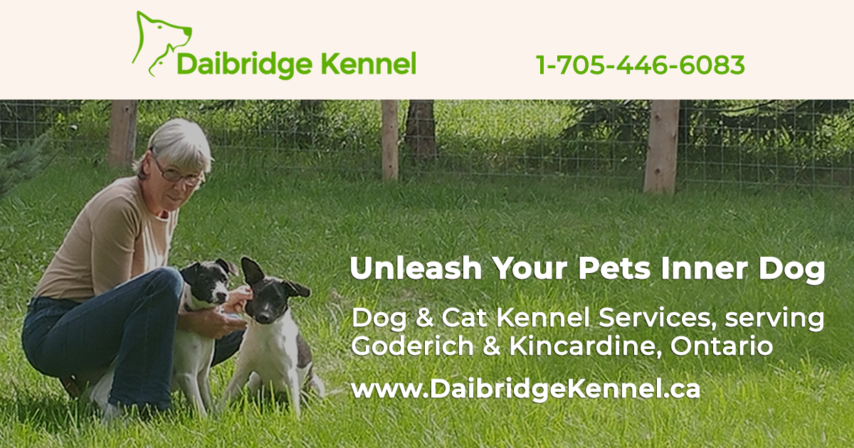 Daibridge Kennel: Dog & Cat Kennel Services | Goderich & Kincardine