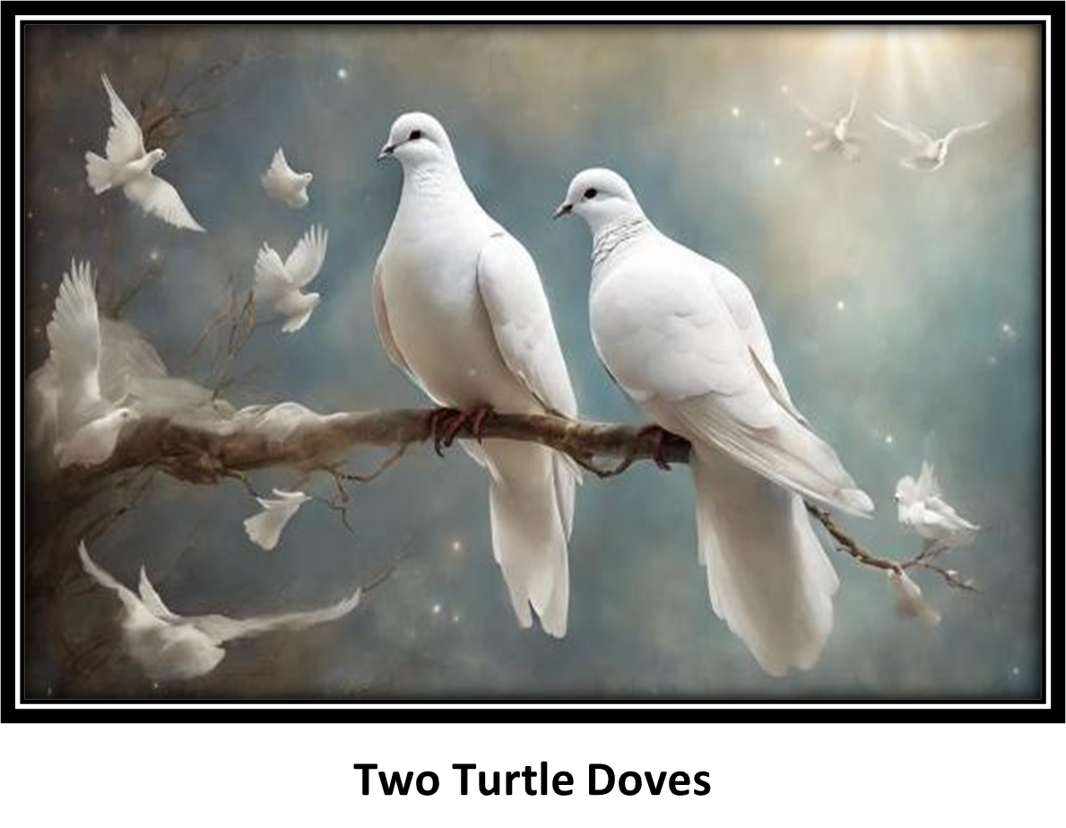 December Newsletter 2025