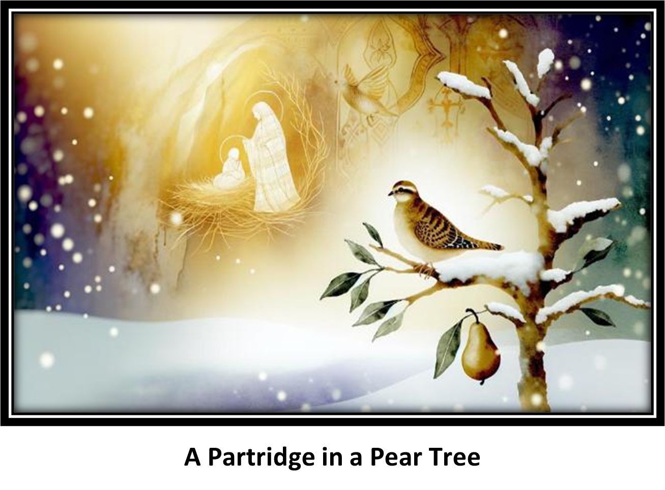 December Newsletter 2025