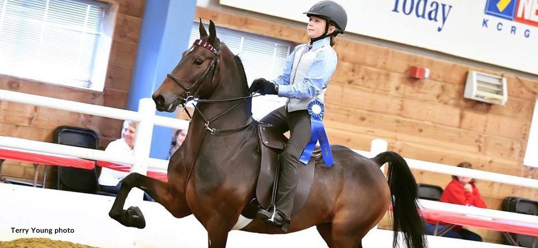 American Hackney Horse Society - Home