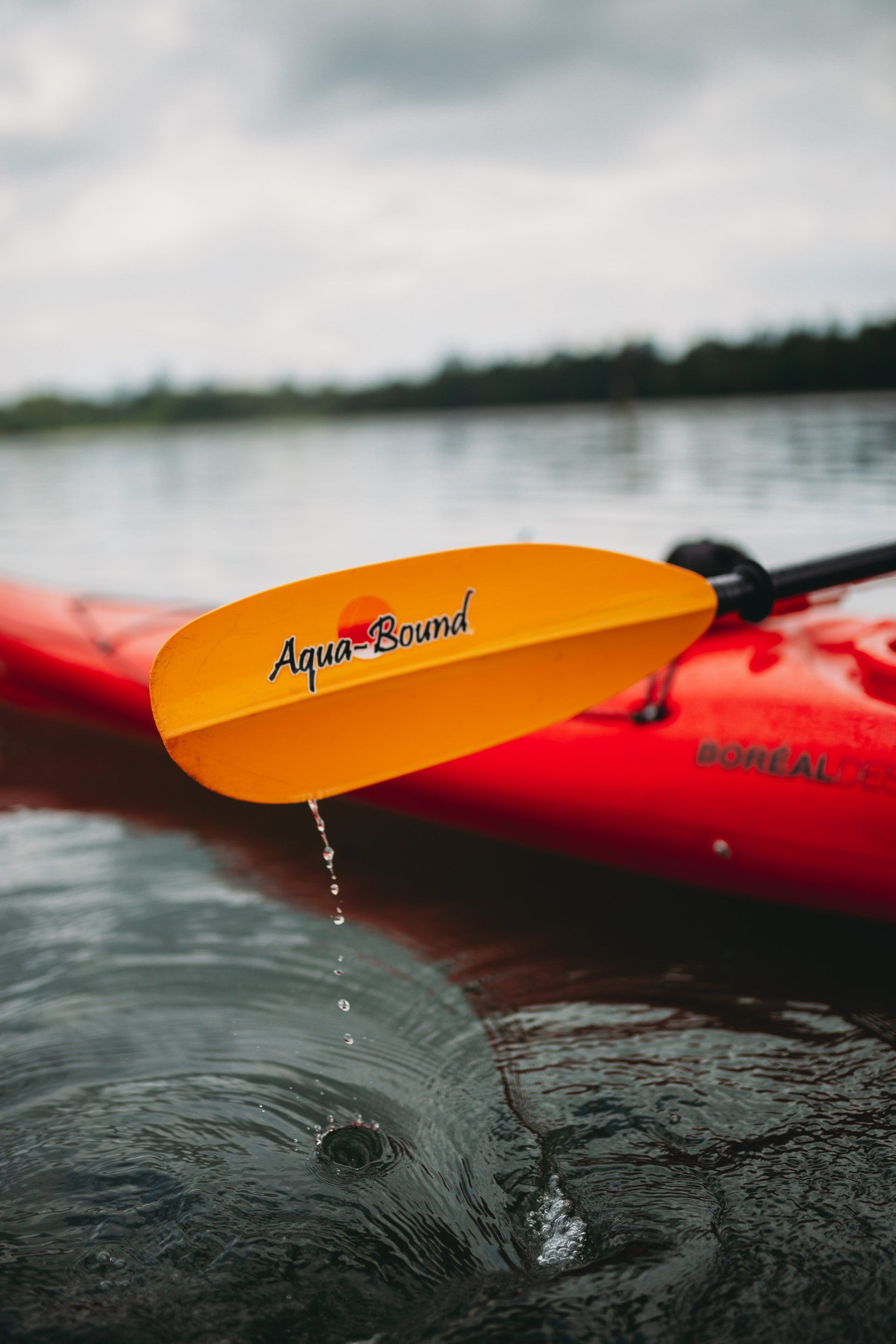 Home [www.rockypointkayak.com]