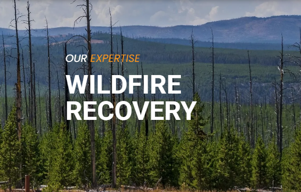 Wildfire Recovery Services | BC Engineering Group
