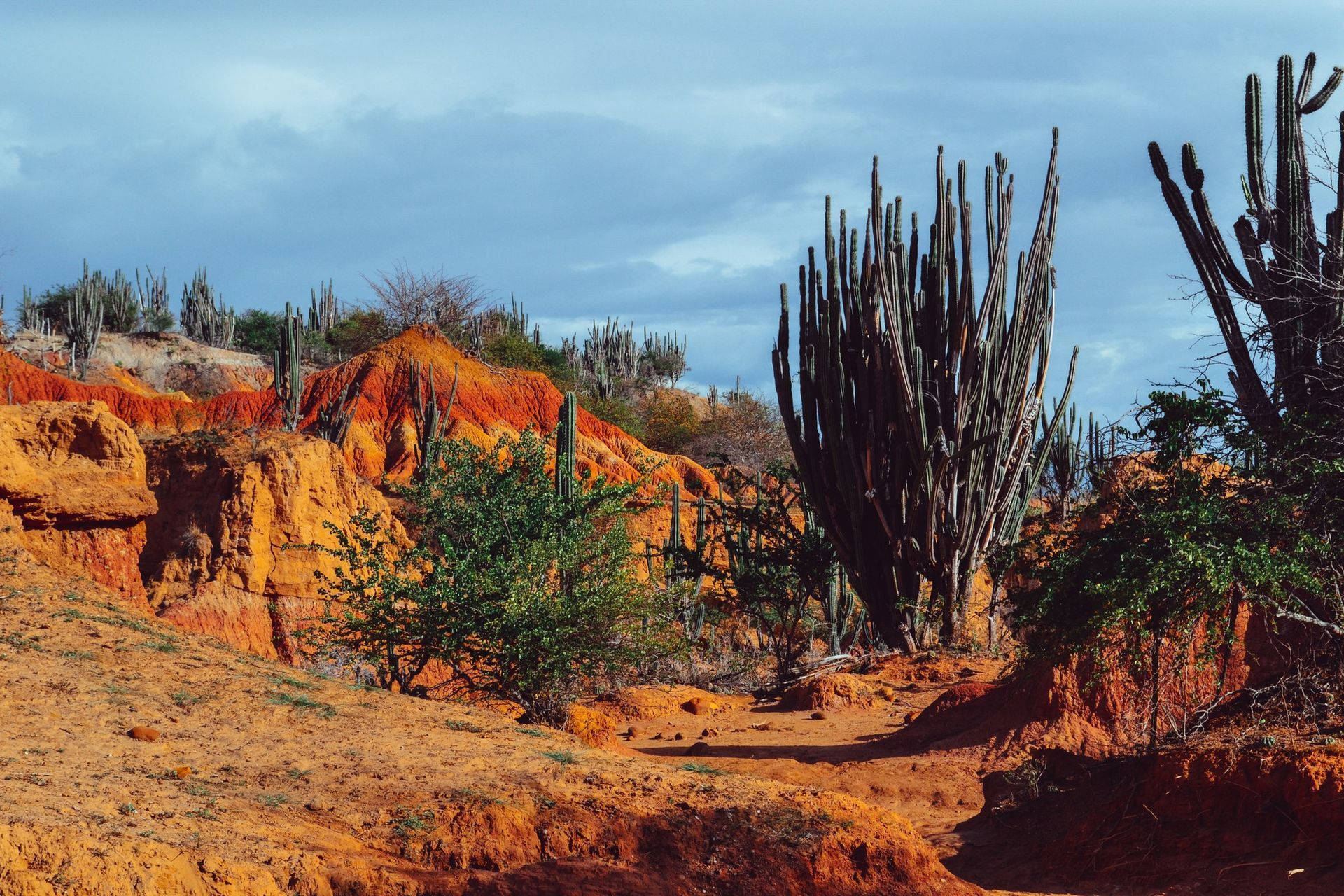 84-Mile Enchanted Circle- New Mexico’s Best Fall Scenic Drive
