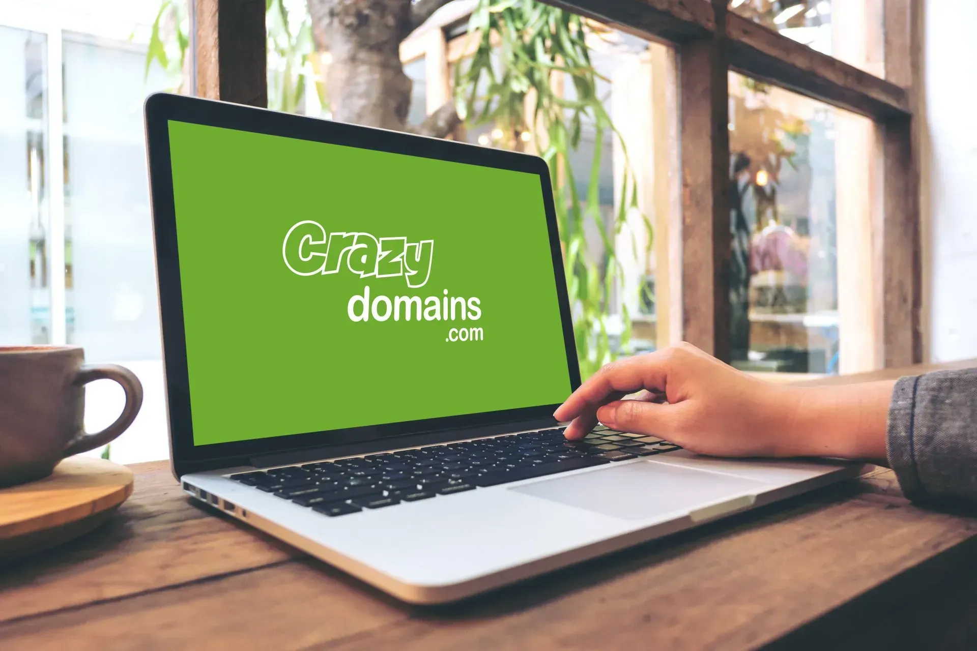Steps on How to Delegate Domain Access to Crazy Domains Account