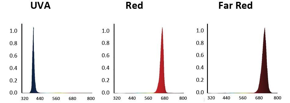 efinity - GROW ENLIGHTENED - Lighting