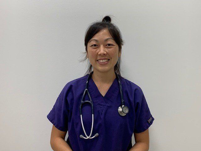 Animal Services | Mililani, HI | Mililani Town Center Pet Clinic