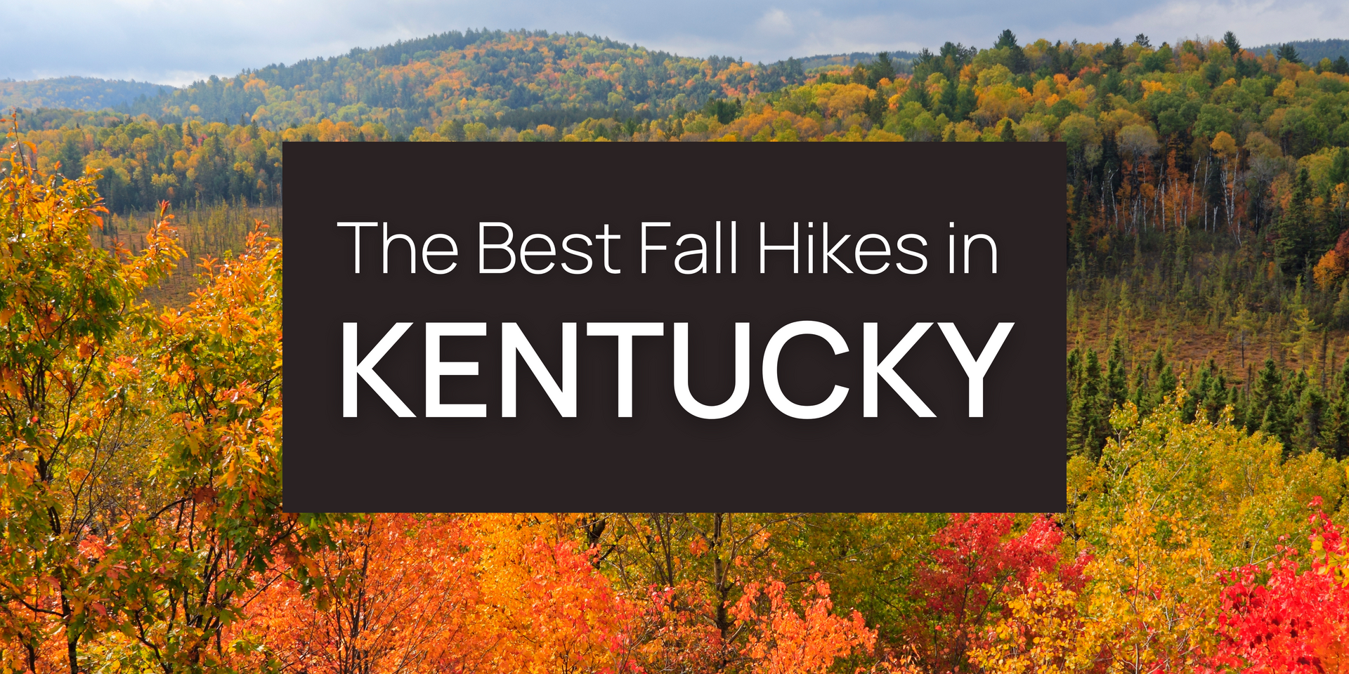Unveiling Nature's Canvas: Spectacular Fall Foliage Hikes in Kentucky