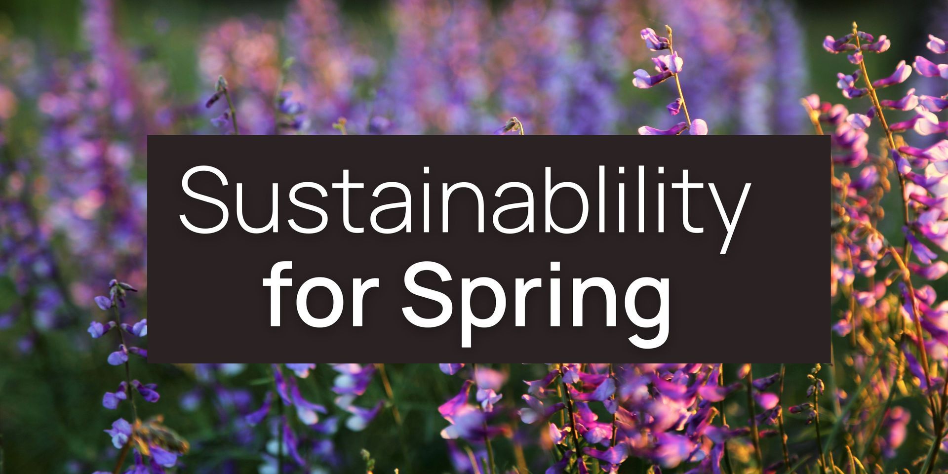 Green Initiatives for Spring: Sustainable Practices in Property Management