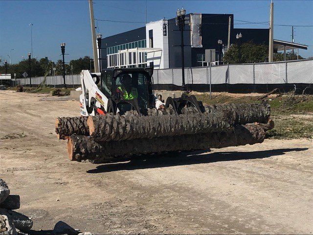 Tree Service Gallery | Custom Tree Surgeons FL