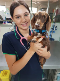 Vet Practice in Darwin | University Avenue Veterinary Hospital