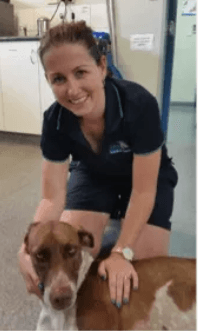 Vet Practice in Darwin | University Avenue Veterinary Hospital