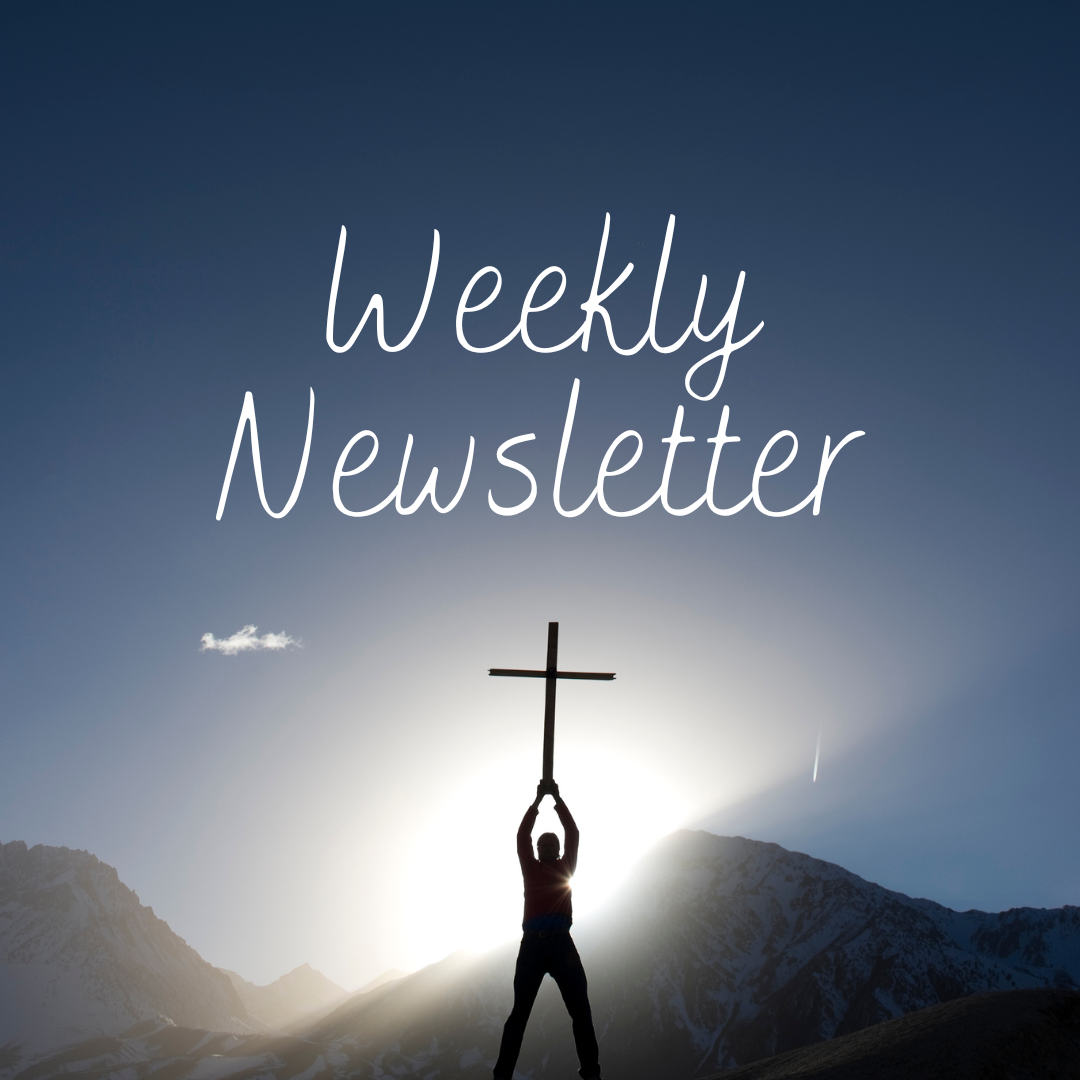 Weekly Newsletter SJOW | August 18th, 2024