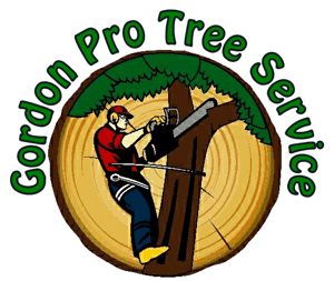 Tree Care | Gainesville, GA | Gordon Pro Tree Service
