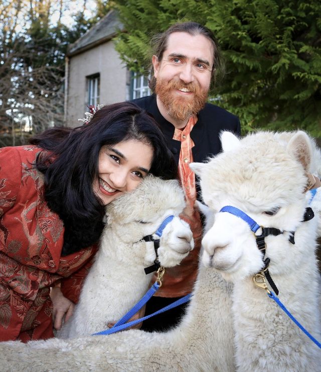 Home [www.highland-alpacas.co.uk]