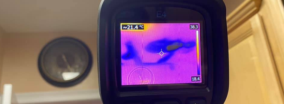 Infrared Thermal Imaging for Mold and Moisture Detection