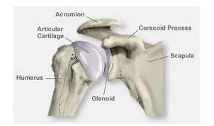 The Hawthorne Clinic – Services/Procedures